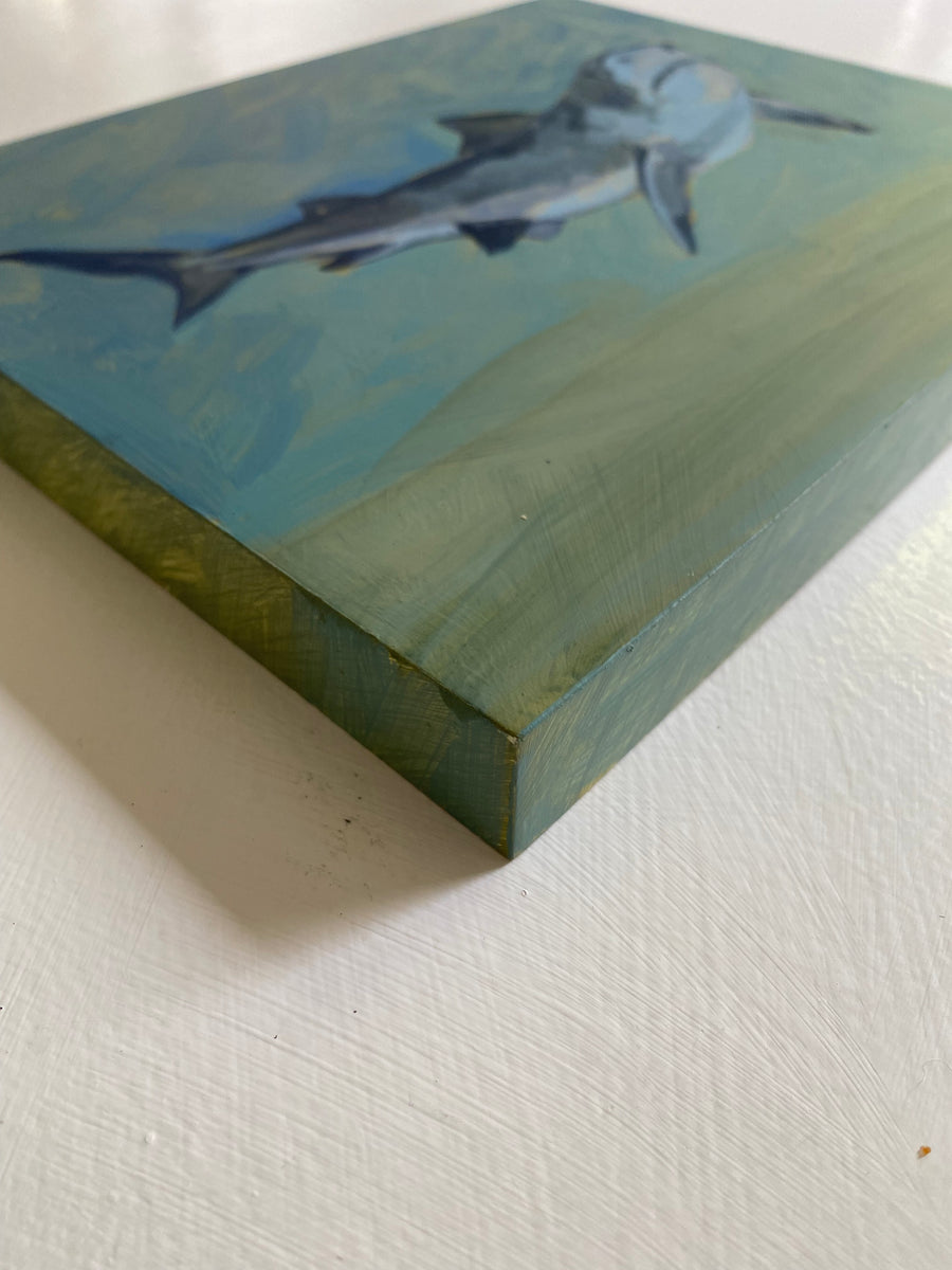 Tiger Shark – Penelope El-Dalati