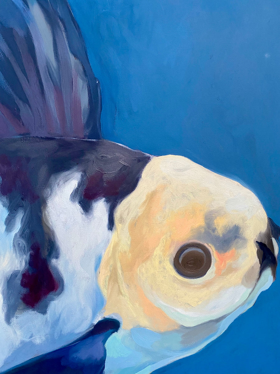 Bluey Fish – Penelope El-Dalati